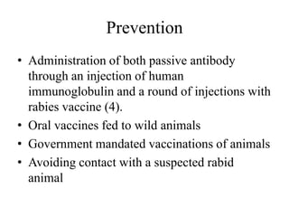 Rabies t thaxton | PPTX