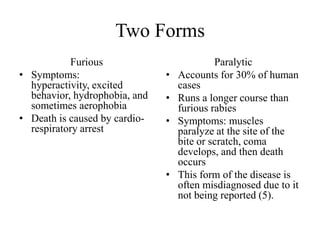 Rabies t thaxton | PPTX