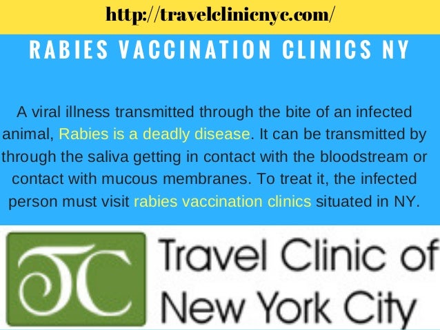 A Comprehensive Guide For Rabies Symptoms And Treatment