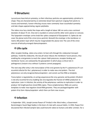 Rabies virus | DOCX