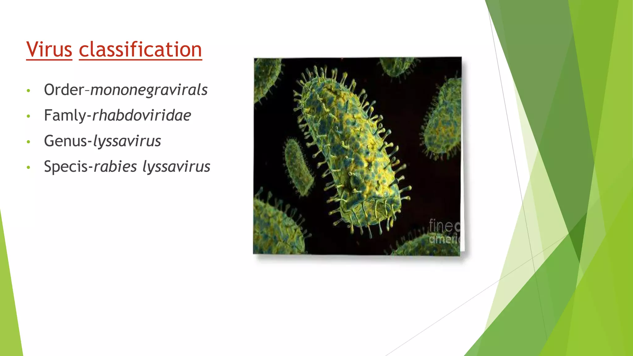 RABIES VIRUS.pptx