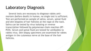 RABIES VIRUS.pptx