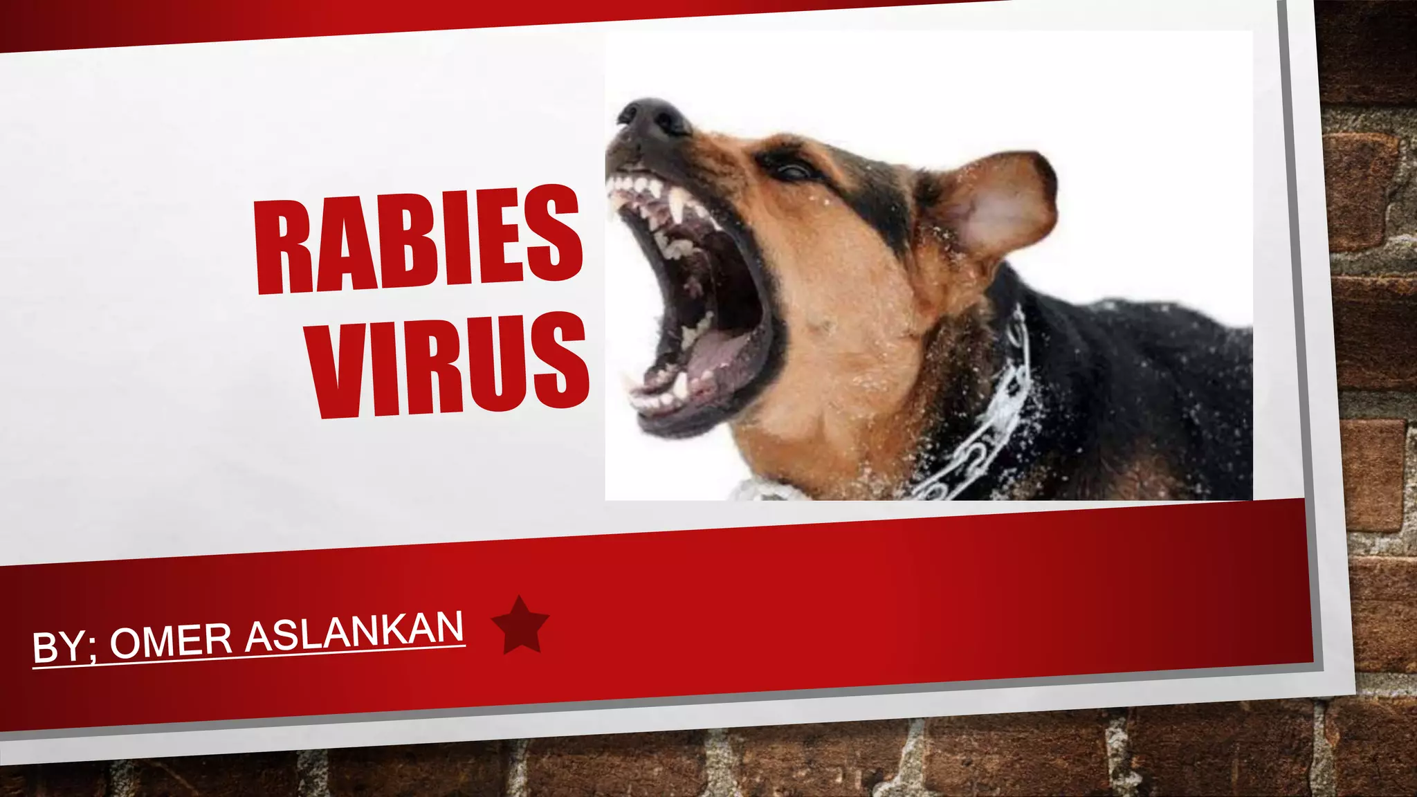 Rabies Virus.pptx