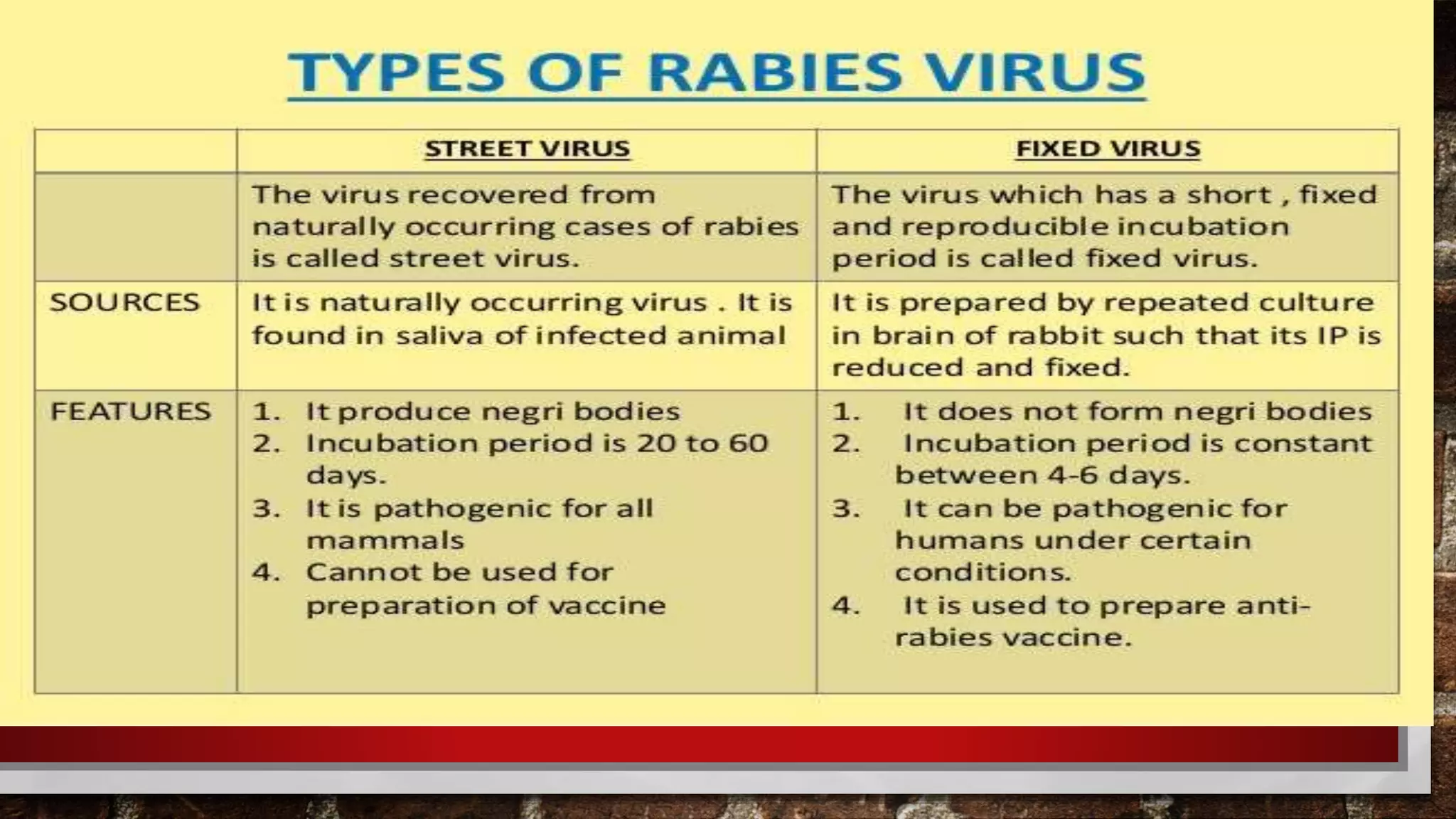 Rabies Virus.pptx