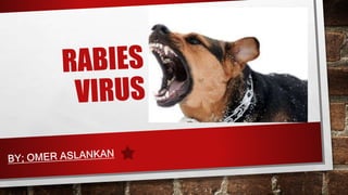 Rabies Virus.pptx