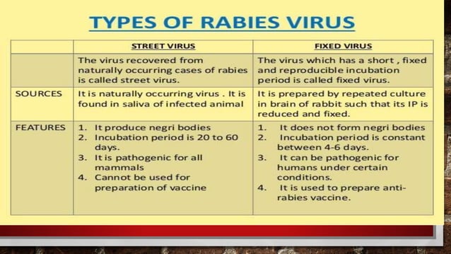 Rabies Virus.pptx