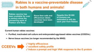 Rabies virus-Host Pathogen.pptx