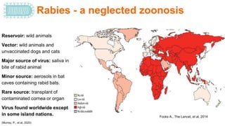 Rabies virus-Host Pathogen.pptx