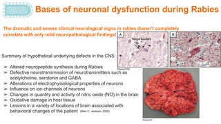 Rabies virus-Host Pathogen.pptx