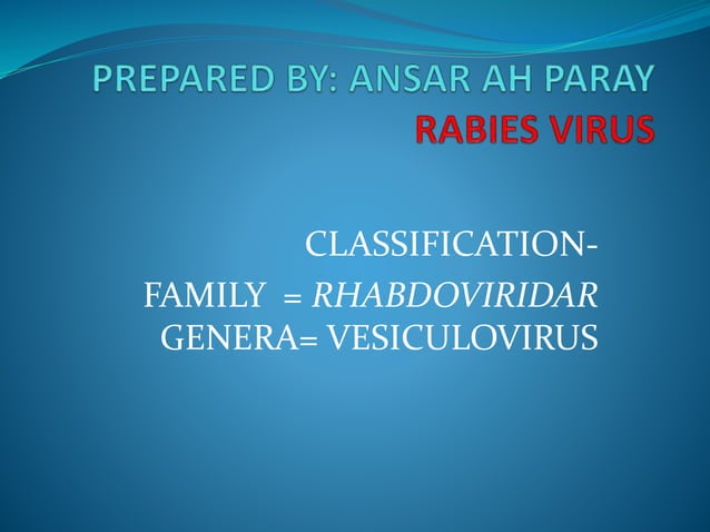 Rabies virus | PPT