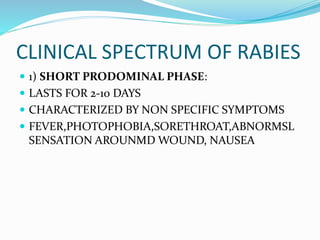 Rabies virus | PPT