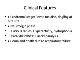 Rabies_Virus_Detailed_Microbiology_Presentation.pptx