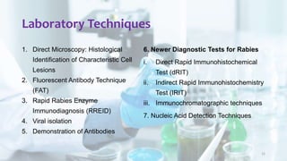 Rabies Virus_Presentation_by_Maliha_Rashid.pptx