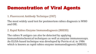 Rabies Virus_Presentation_by_Maliha_Rashid.pptx