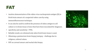 Rabies Virus_Presentation_by_Maliha_Rashid.pptx
