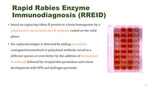 Rabies Virus_Presentation_by_Maliha_Rashid.pptx