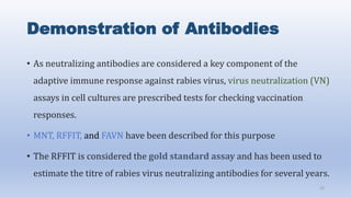 Rabies Virus_Presentation_by_Maliha_Rashid.pptx