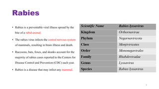 Rabies Virus_Presentation_by_Maliha_Rashid.pptx