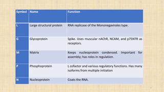 Rabies Virus_Presentation_by_Maliha_Rashid.pptx