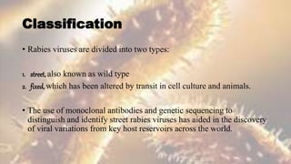 Rabies Virus_Presentation_by_Maliha_Rashid.pptx