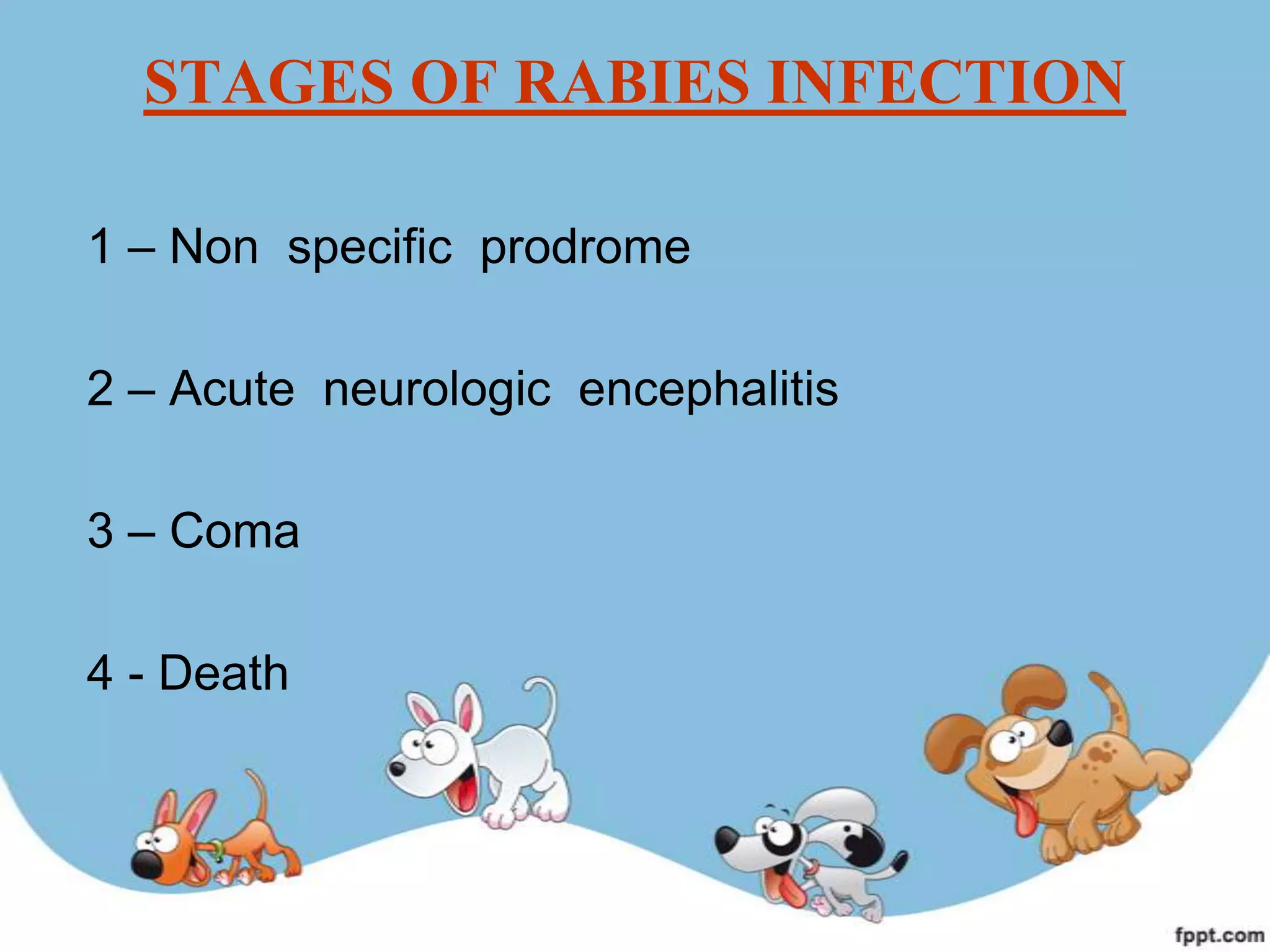 Rabies | PPTX