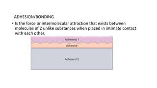 rabin dry bonding and wet bonding 1.pptx