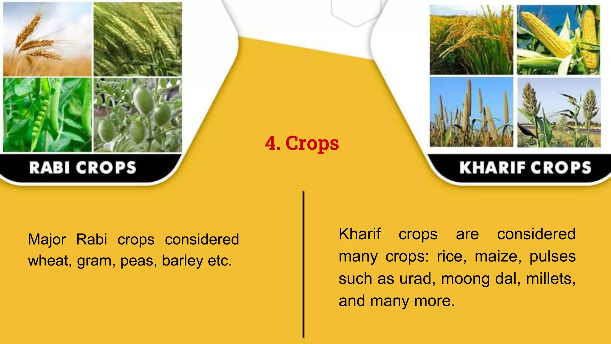 Why Rabi and Kharif Season Is Best For Farming? | PPTX