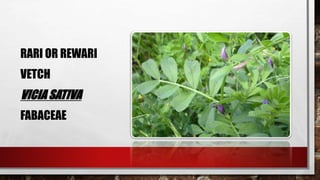 Rabi season weeds(WEEDS IDENTIFICATION) | PPTX