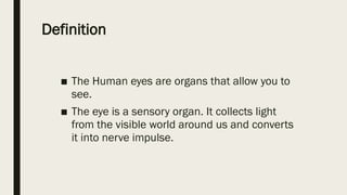 Rabisha Gaire Presentation on human sensory organs.pptx