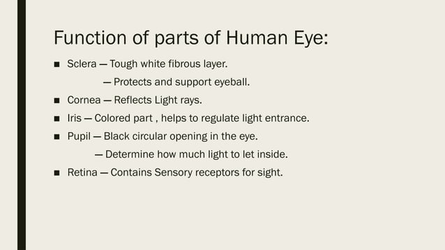 Rabisha Gaire Presentation on human sensory organs.pptx