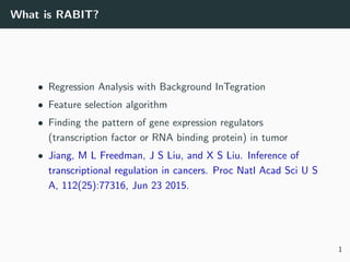 RABIT basic tutorial | PDF