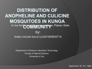 Distribution of Anopheline and Culicine Mosquitoes in Kunga Community | PPT