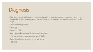 west nile virus | PPTX