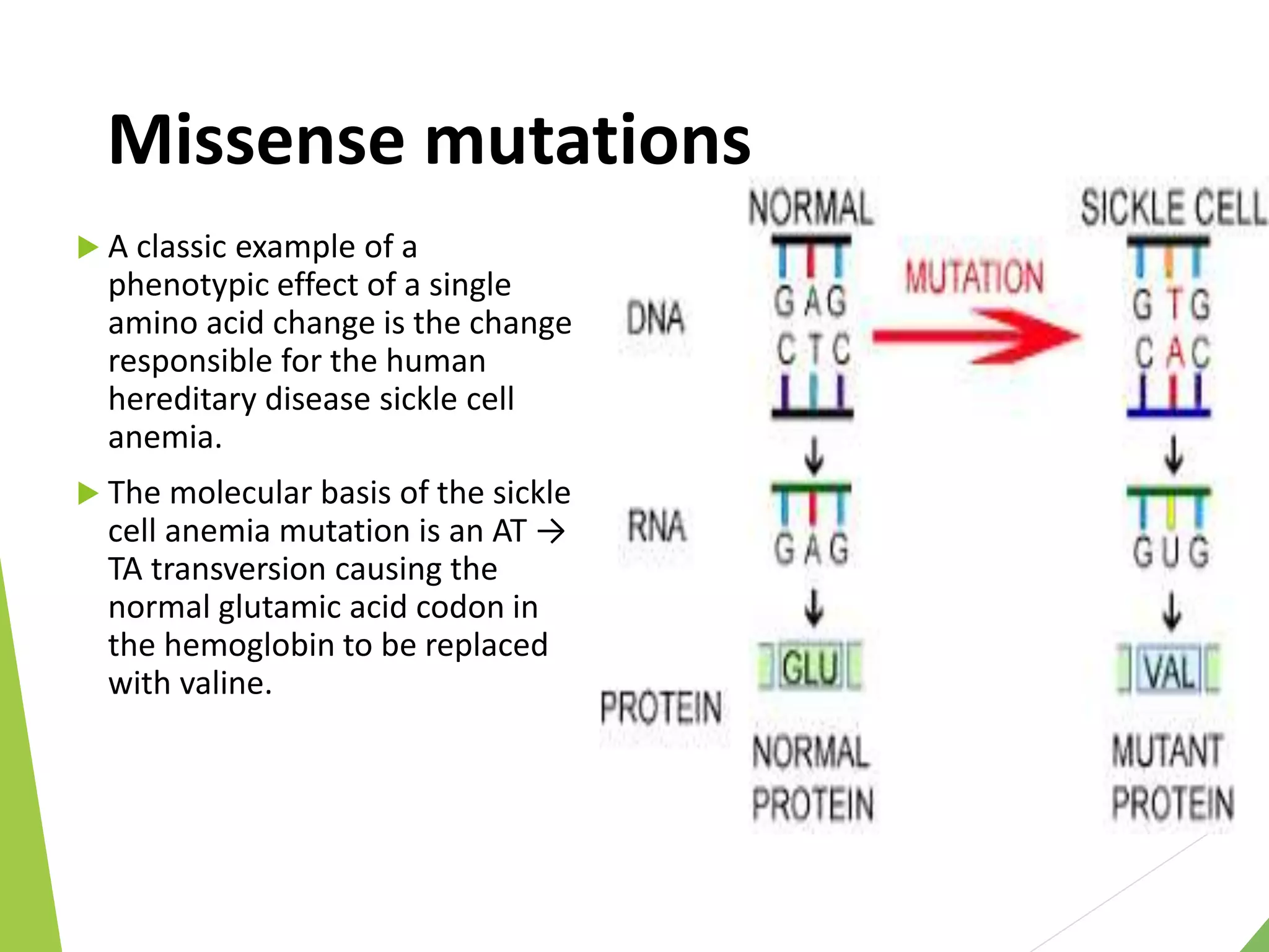Missense mutation and non-sense mutation (molecular biology) | PPTX