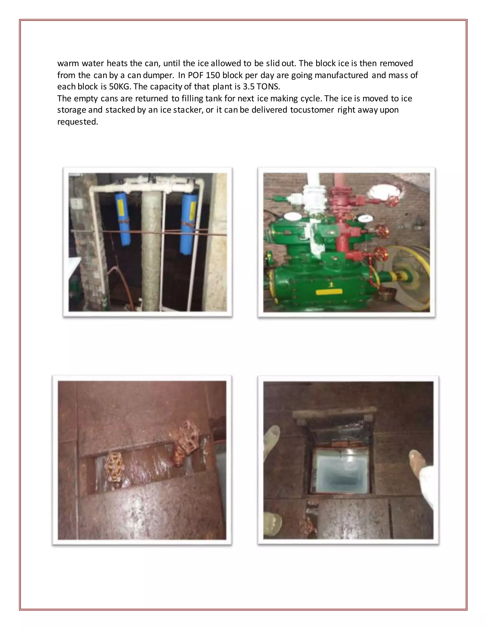 ice plant factory report | DOCX