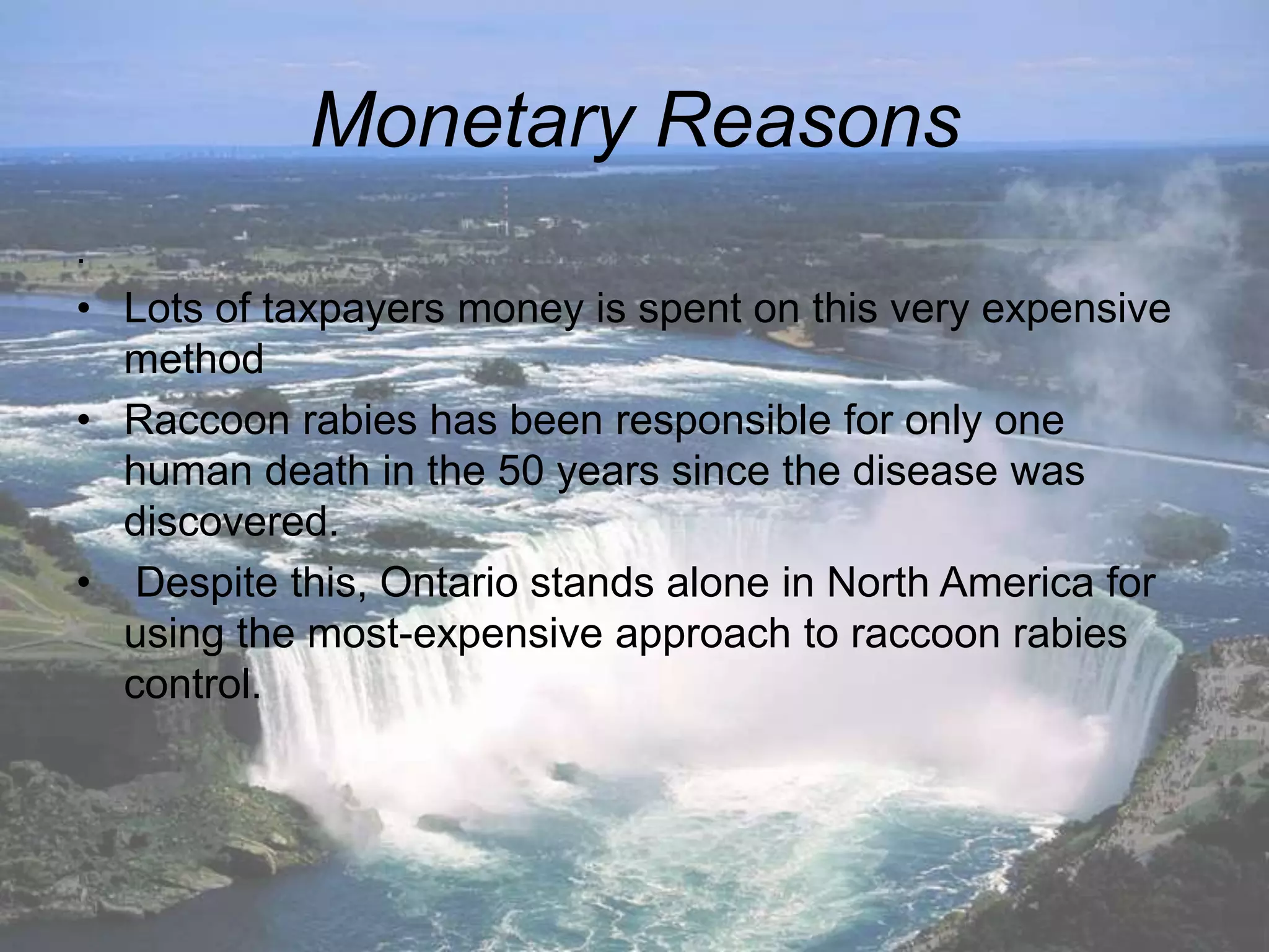 Raccoon rabies | PPT