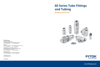Raccordi per alte pressioni - Fitok serie 60 | PDF | Commodities | Economy