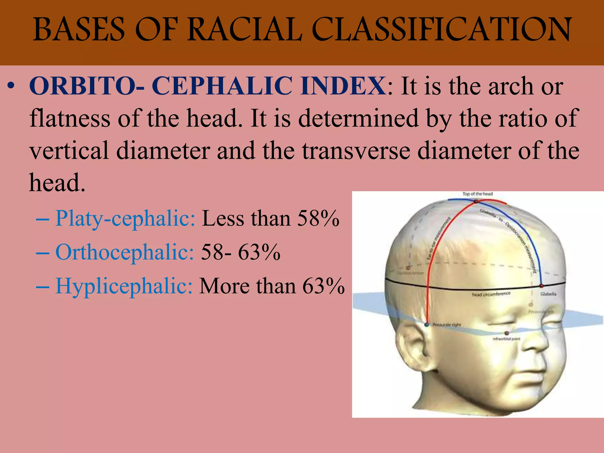 Concept of Human Race and Identifying Characters | PPTX