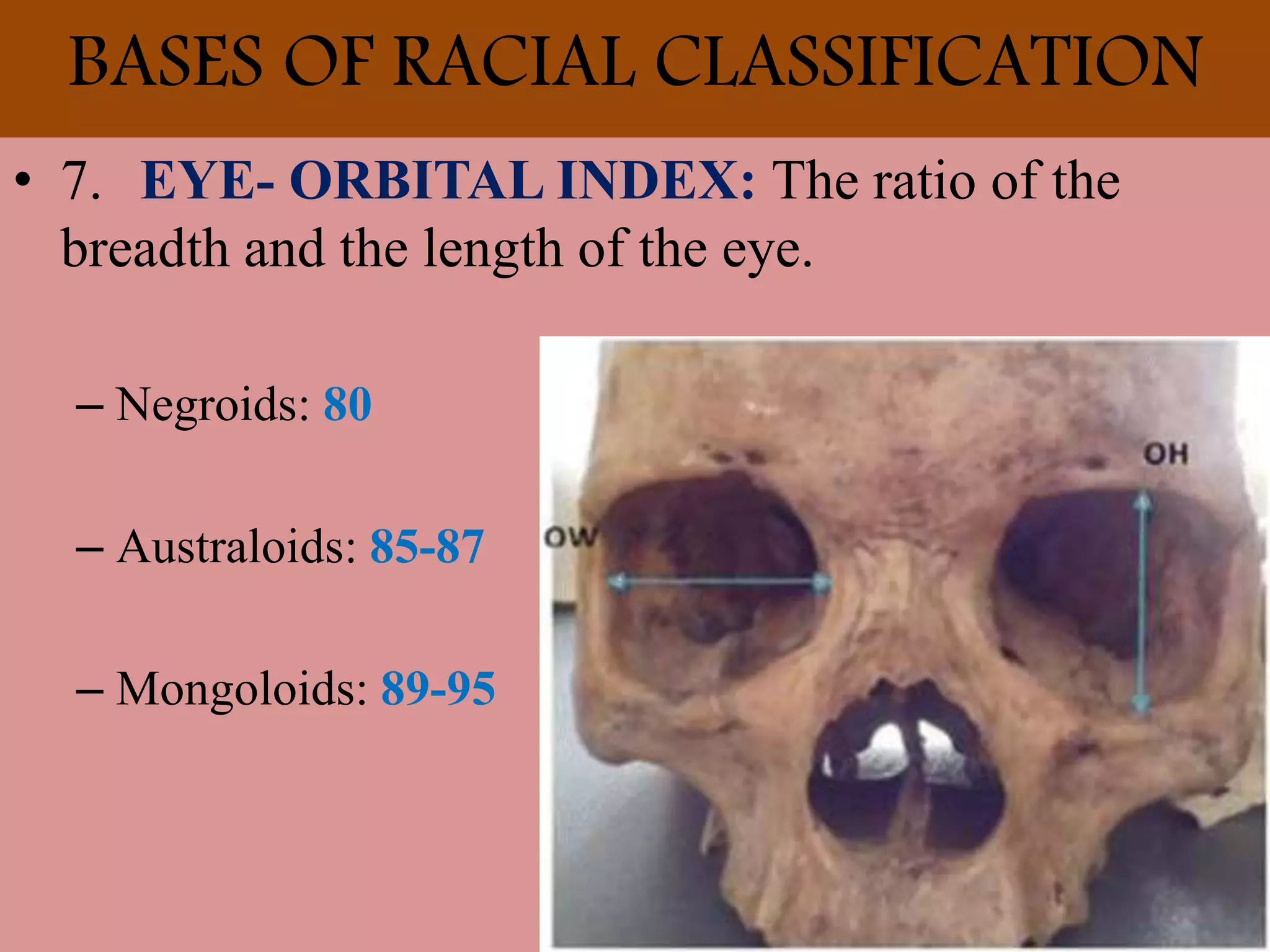 Concept of Human Race and Identifying Characters | PPTX