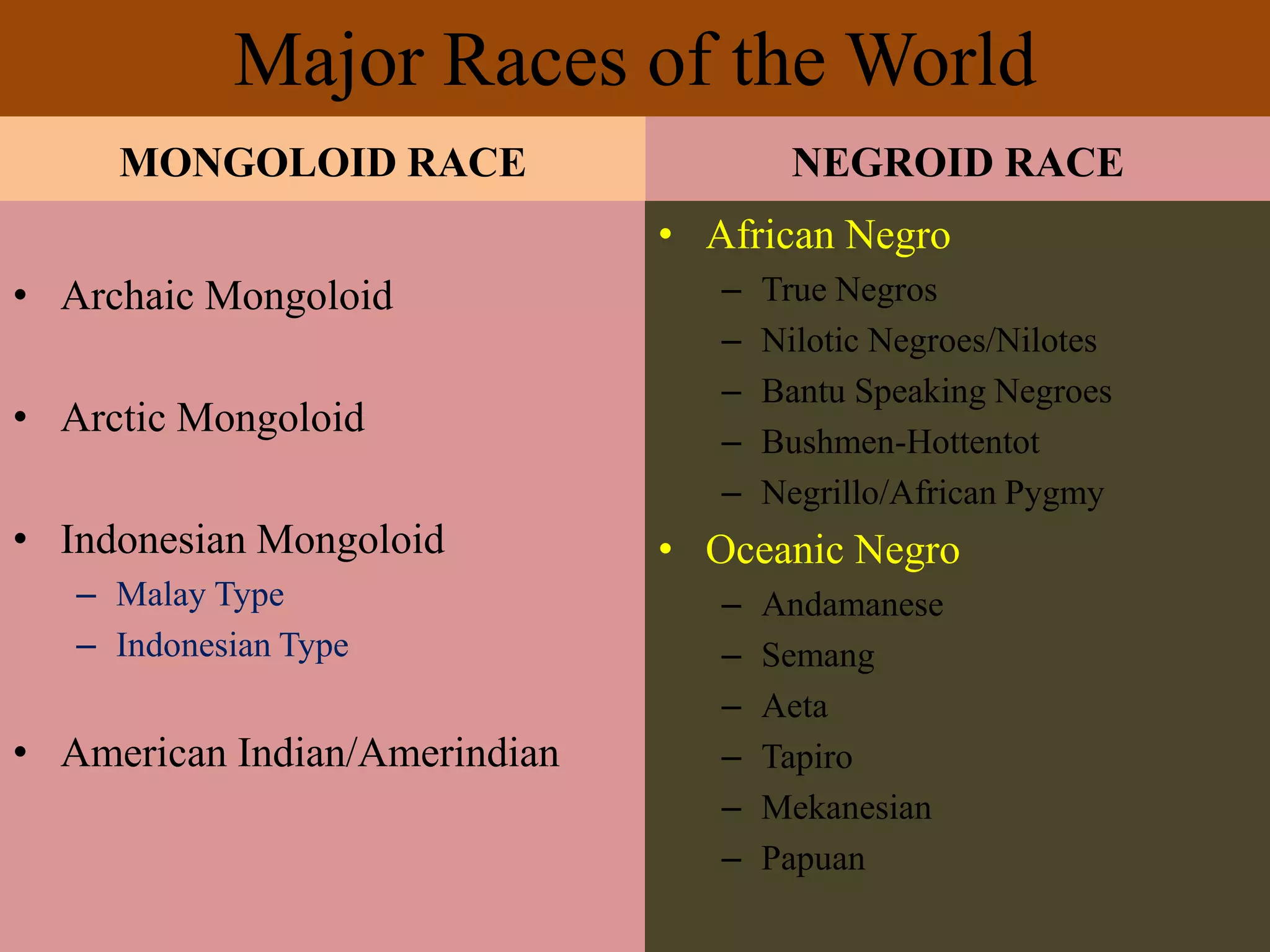 Concept of Human Race and Identifying Characters | PPTX