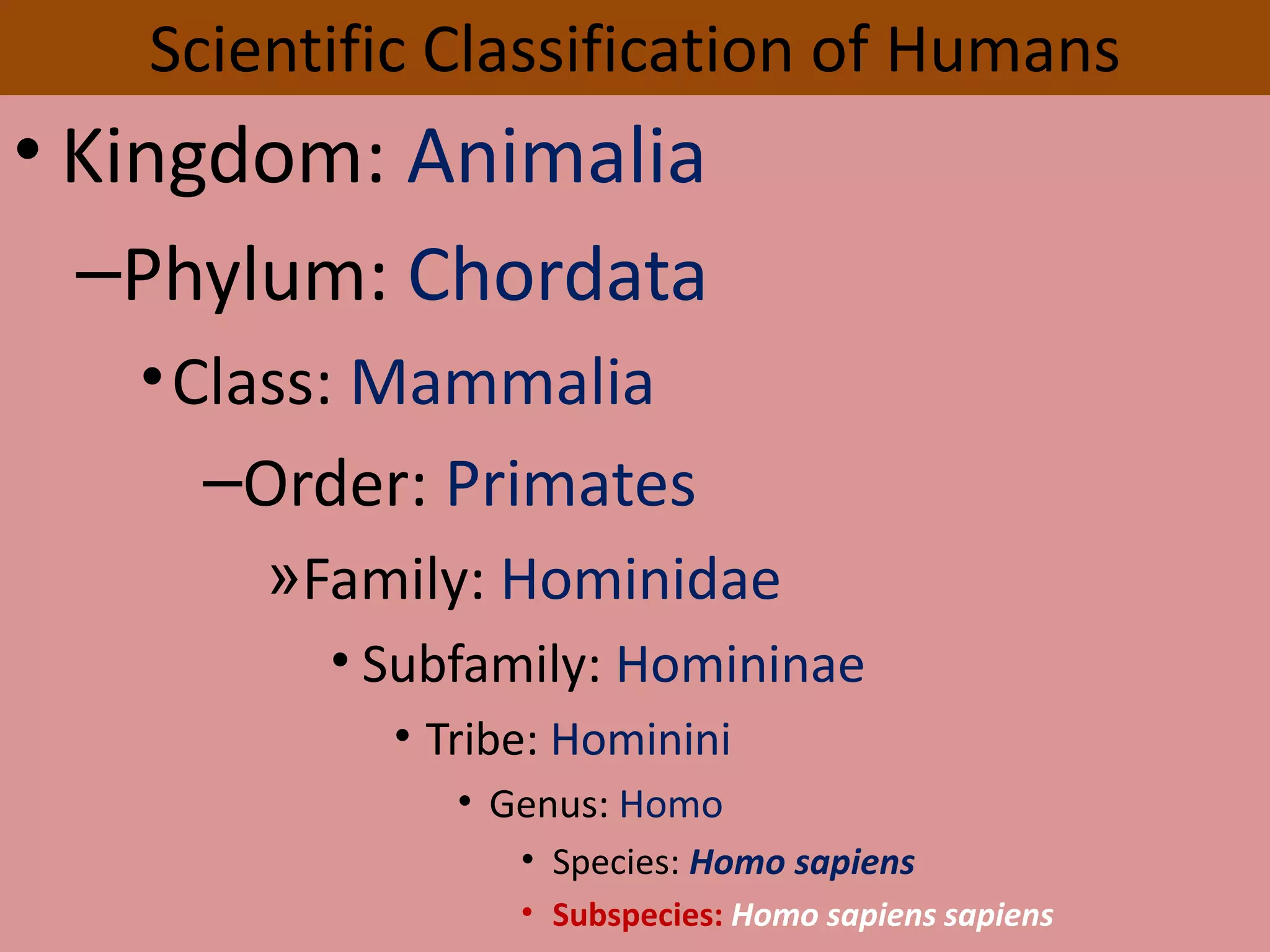 Concept of Human Race and Identifying Characters | PPTX