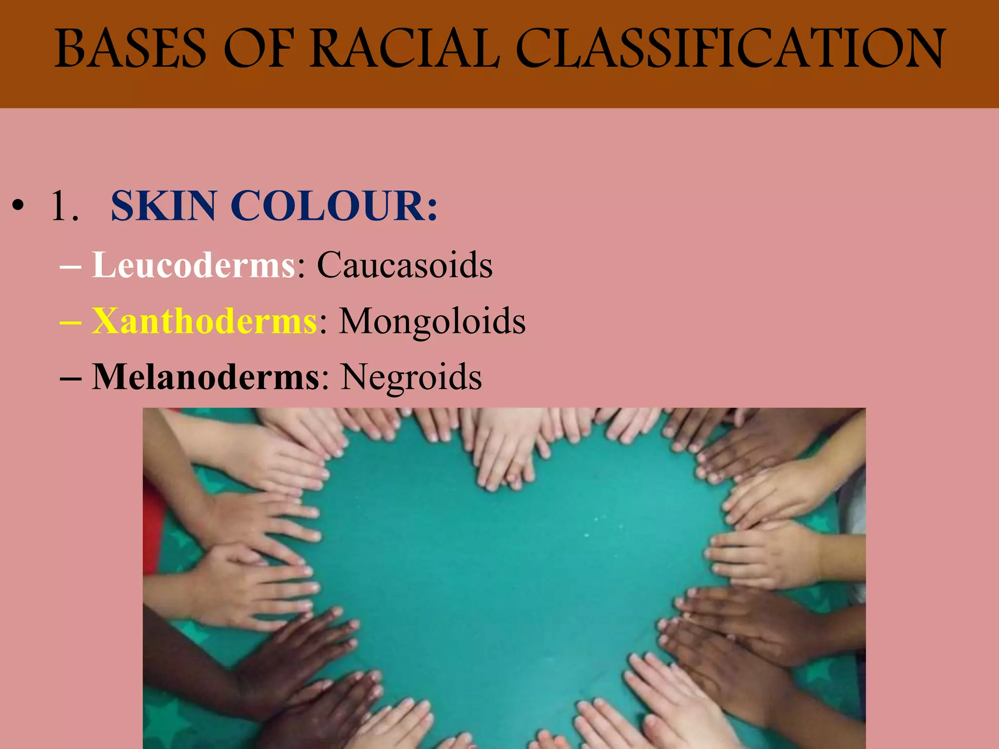 Concept of Human Race and Identifying Characters | PPTX