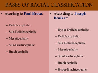 Concept of Human Race and Identifying Characters | PPTX