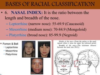Concept of Human Race and Identifying Characters | PPTX