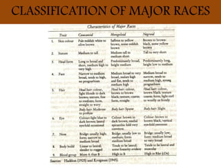 Concept of Human Race and Identifying Characters | PPTX