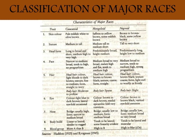 Concept of Human Race and Identifying Characters | PPTX | Geography ...