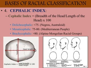 Concept of Human Race and Identifying Characters | PPTX