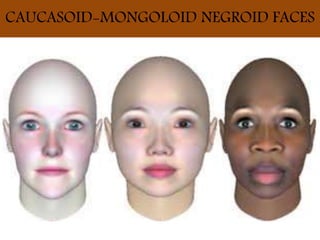 Concept of Human Race and Identifying Characters | PPT