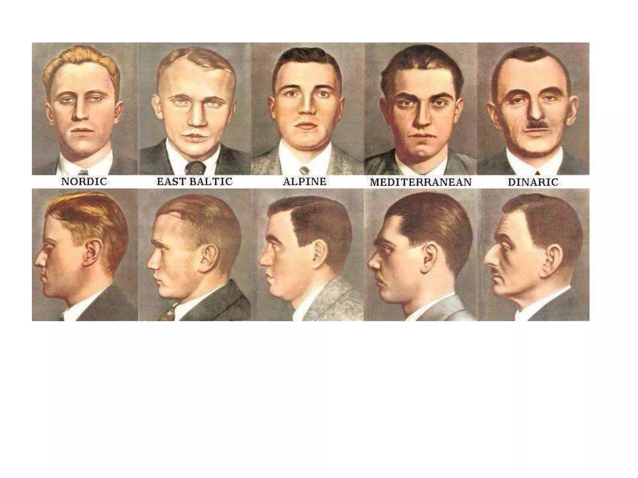 Racial classification | PPT