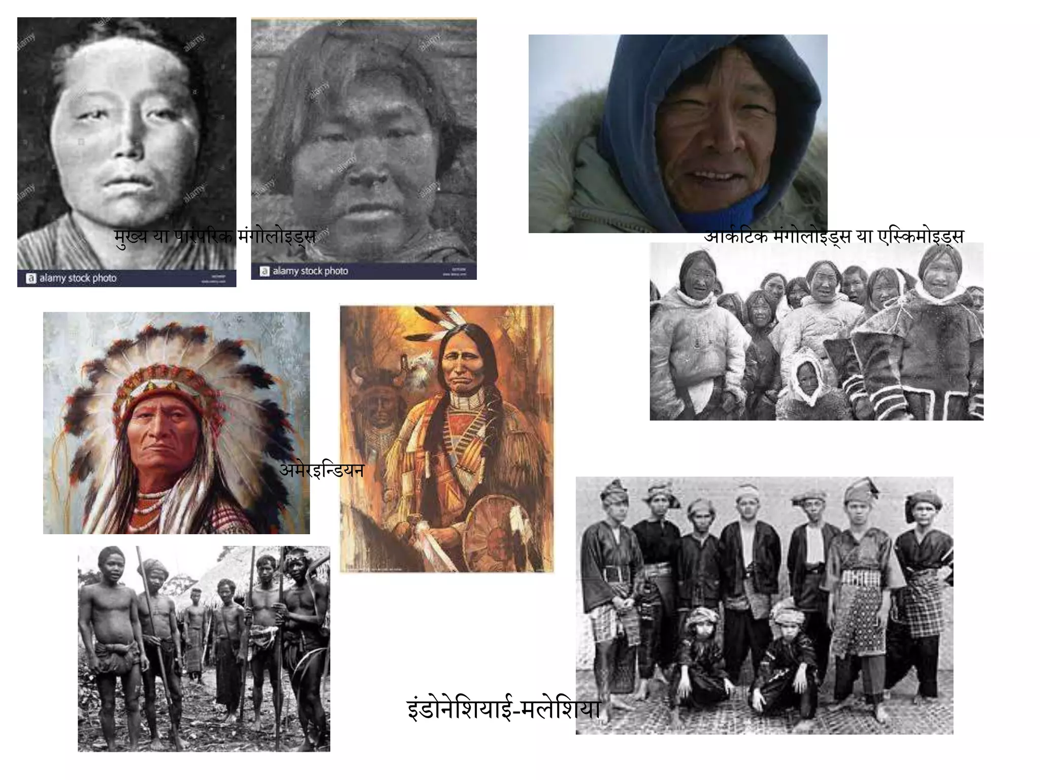 Racial classification | PPT